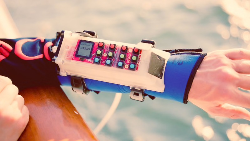 Wearable Tech That Allows Researchers to Explore Dolphin Communications ...
