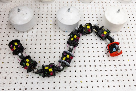 Worms Inspire Wiggly Robots That Navigate All Landscapes | Neuro
